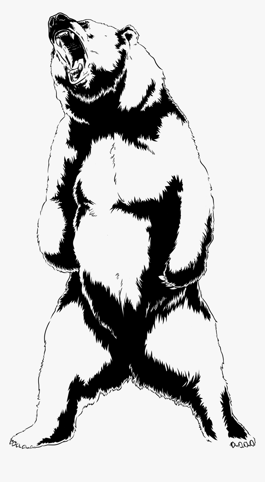 Grizzly Bear Standing Up And Roaring Drawing
