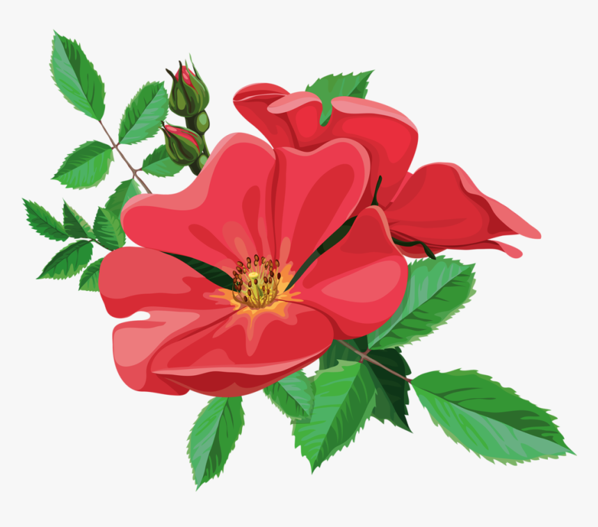 Jpg Library Library Png Flowers And, Transparent Png , Transparent Png ...