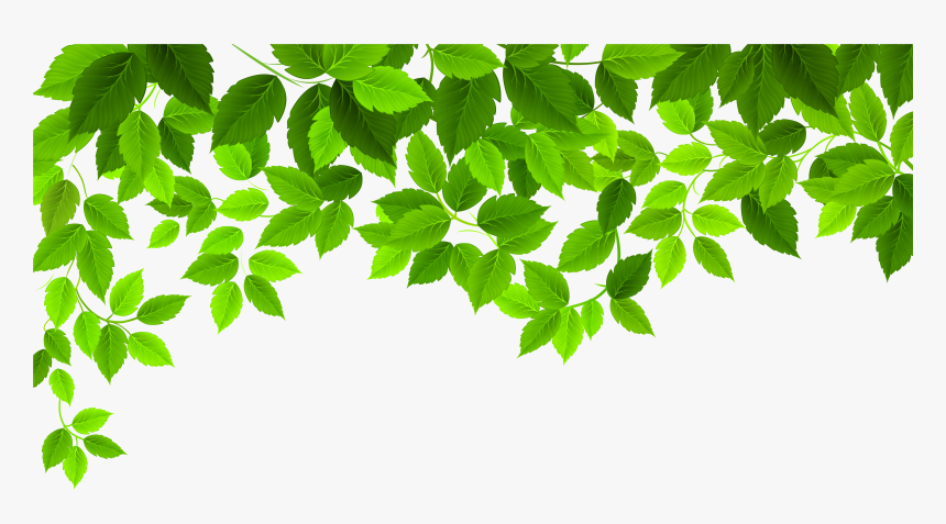 Spring Leaves Png , Png Download, Transparent Png , Transparent Png ...