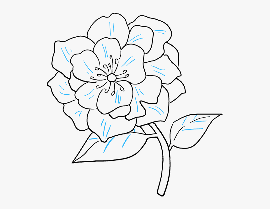 Transparent Flower Drawing Png, Png Download , Transparent Png Image ...