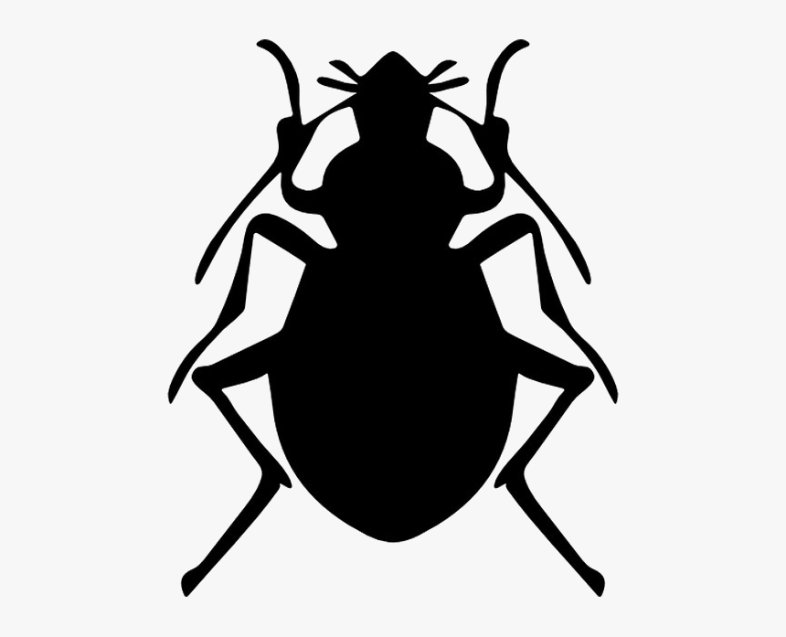 Bug Png, Transparent Png , Transparent Png Image - PNGitem