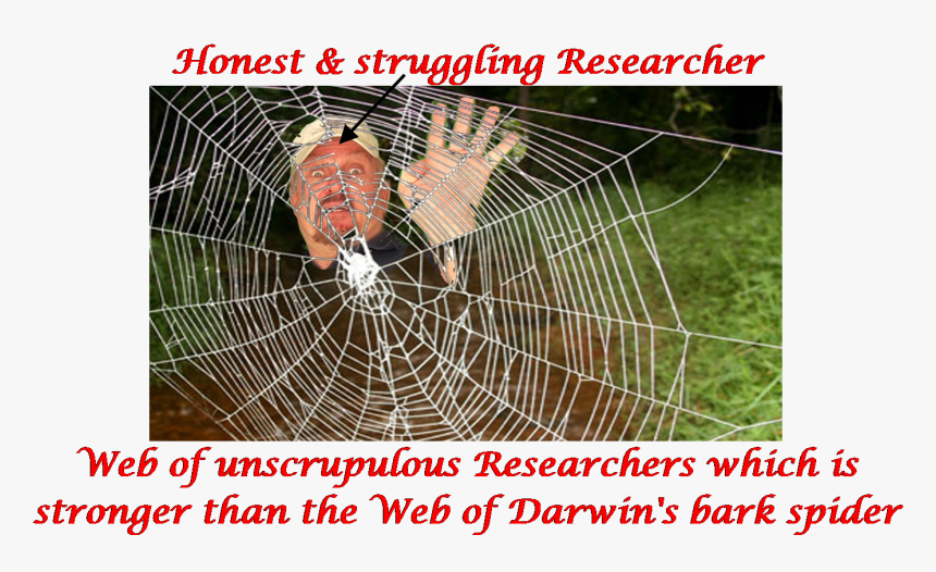 Realistic Spider Web Png, Transparent Png , Transparent Png Image - PNGitem