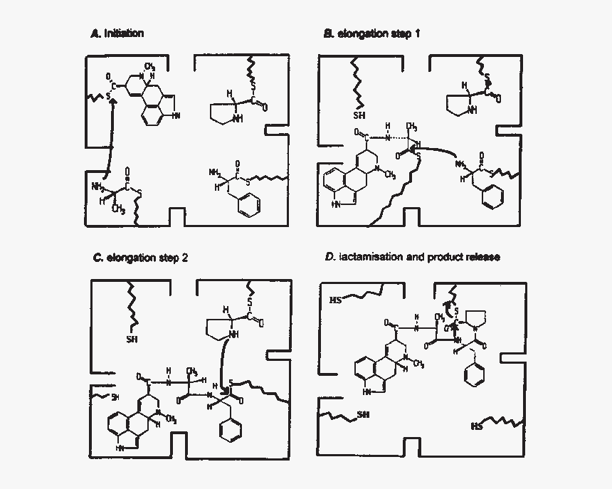Wavy Lines Png, Transparent Png , Transparent Png Image - PNGitem