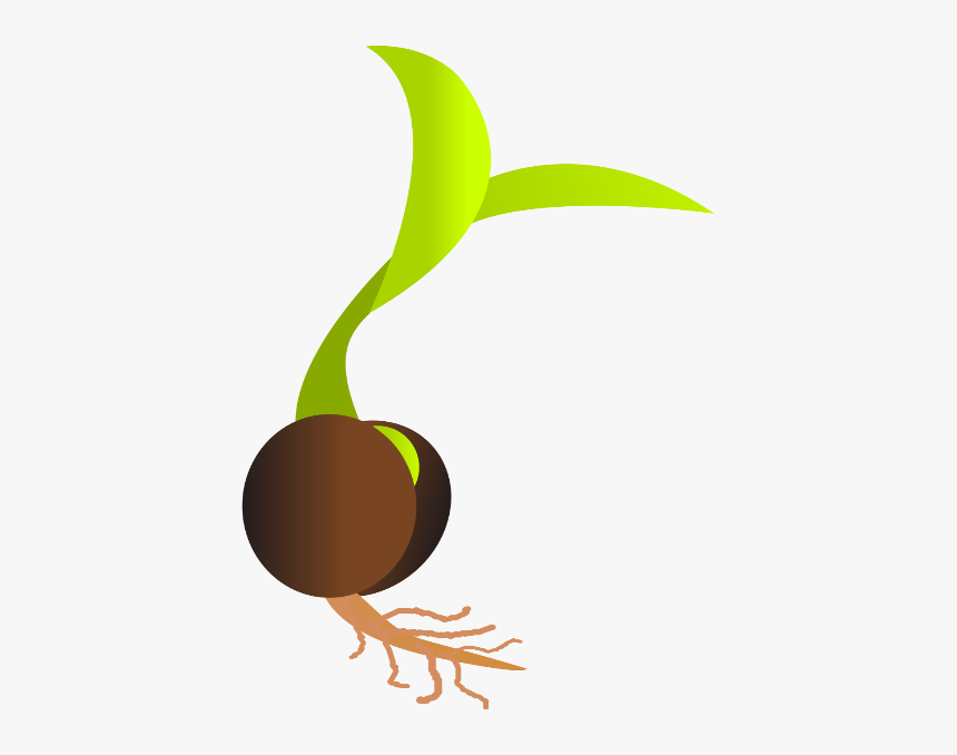 Pumpkin Sprout Clipart