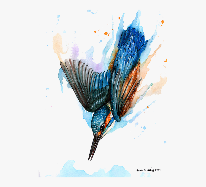Australian Drawing Kingfisher, HD Png Download , Transparent Png Image ...