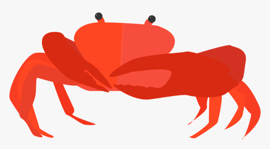 Cancer Animal Png, Transparent Png , Transparent Png Image - PNGitem