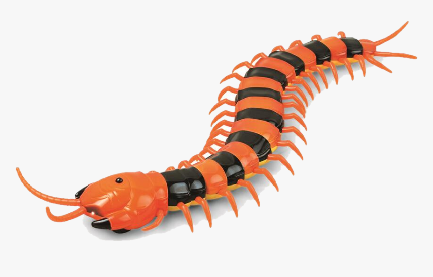 Electric Rc Centipede Fake Remote Control Animal Prank, HD Png Download ...