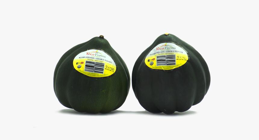 Squash Png, Transparent Png , Transparent Png Image - PNGitem