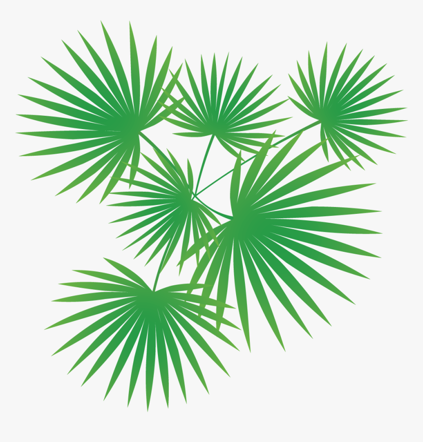 Palm Tree Emoji Png, Transparent Png , Transparent Png Image - PNGitem