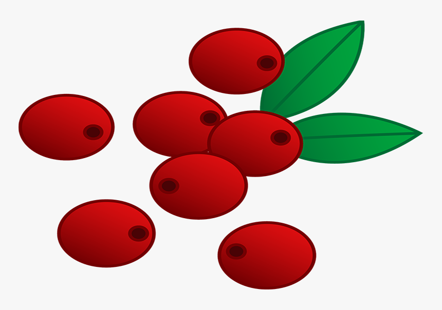 Transparent Cranberry Png, Png Download , Transparent Png Image - PNGitem