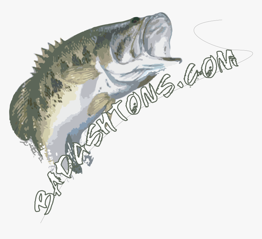 How Water Temperatures Affect Largemouth Bass Behavior, HD Png Download ...