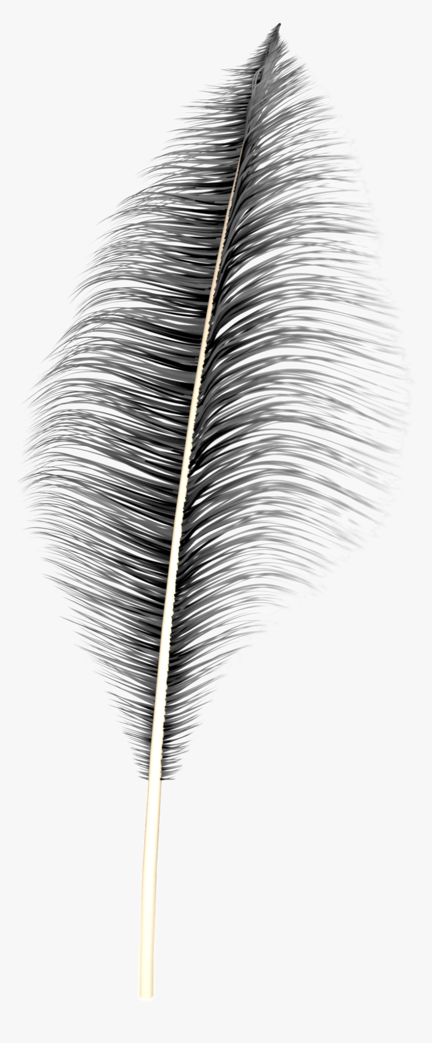 Dream Feather Png, Transparent Png , Transparent Png Image - PNGitem