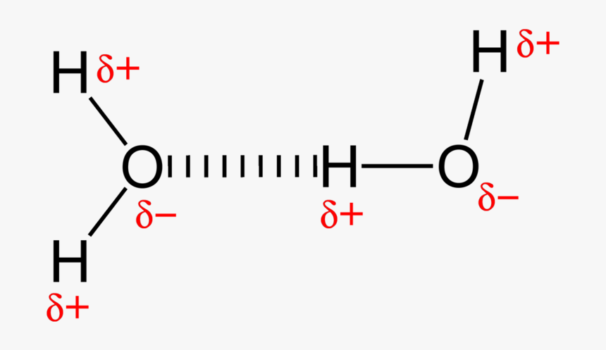 Hydrogen Bonding In Water 2d - Hydrogen Bonding, HD Png Download ...