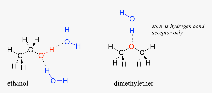 Transparent Water Molecule Clipart - Hydrogen Bonding In Ethanol And ...