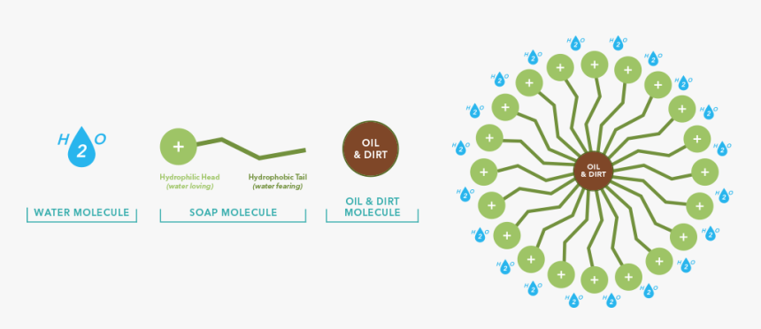 Micelle Of Oil Surrounded By Soap And Water, HD Png Download ...