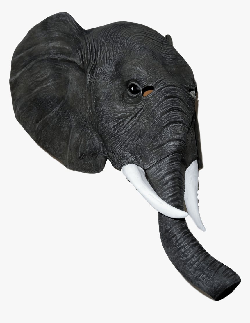 Transparent Robin Mask Png - Elephant Mask Png, Png Download ...