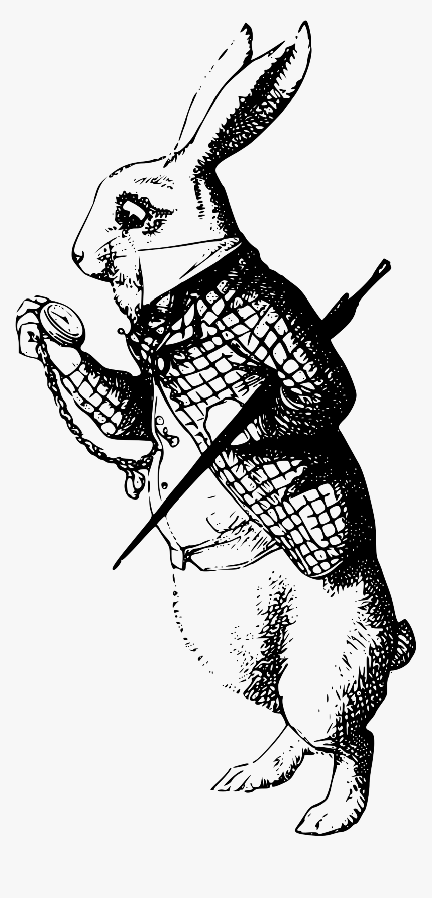 Alice In Wonderland White Rabbit Pocket Watch