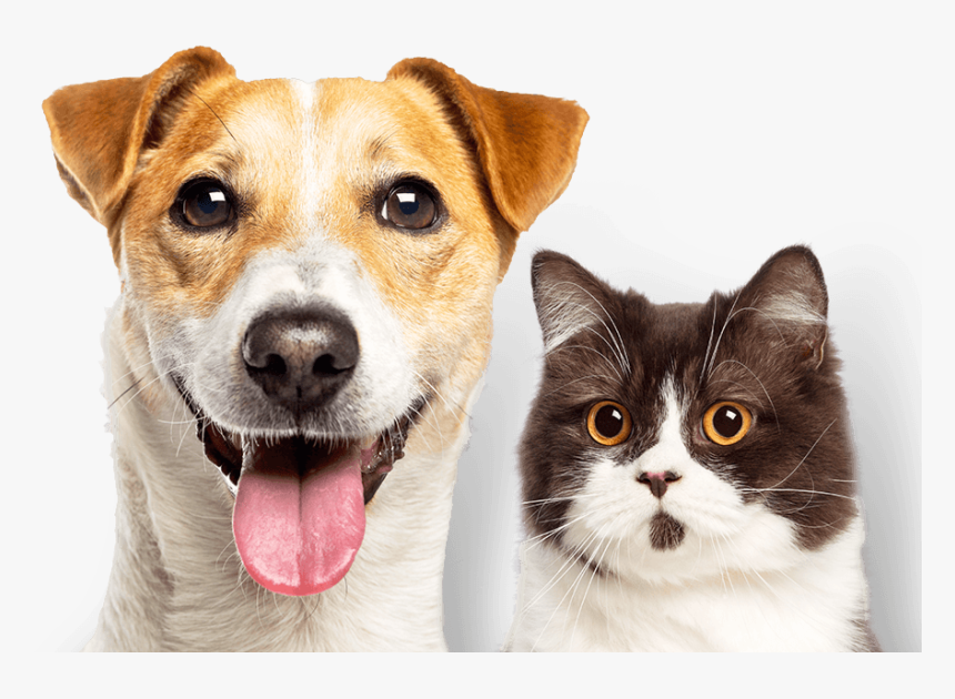 Experience The Difference, HD Png Download , Transparent Png Image ...