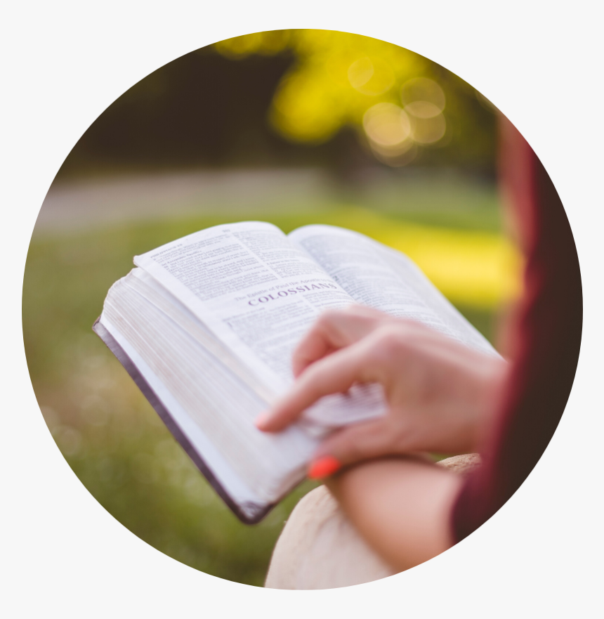Bible Study Png, Transparent Png , Transparent Png Image - PNGitem