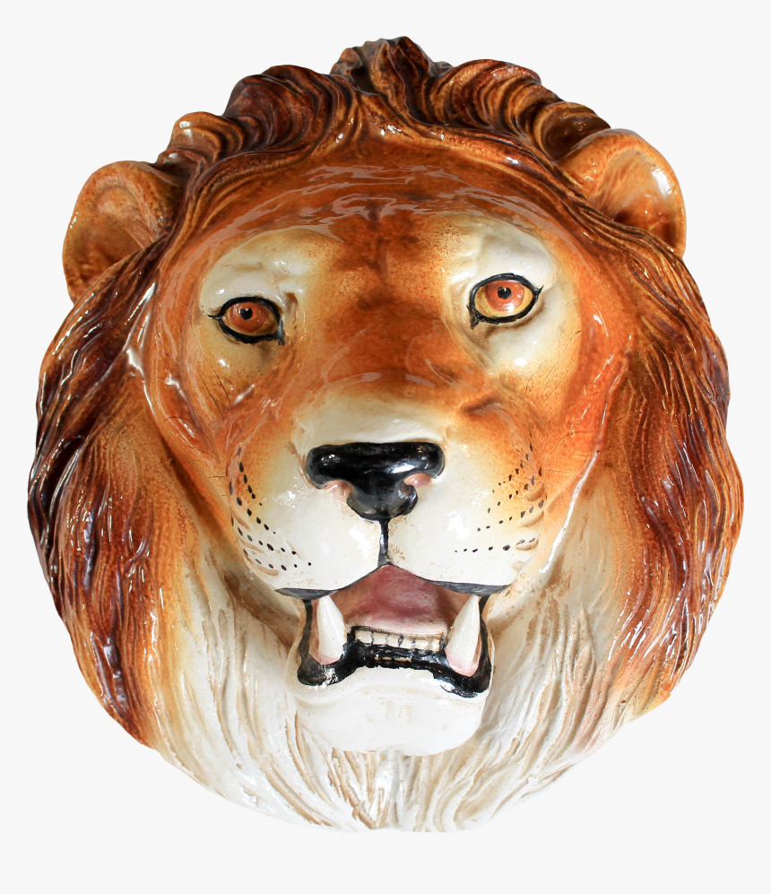 Lion Face Png, Transparent Png , Transparent Png Image - PNGitem