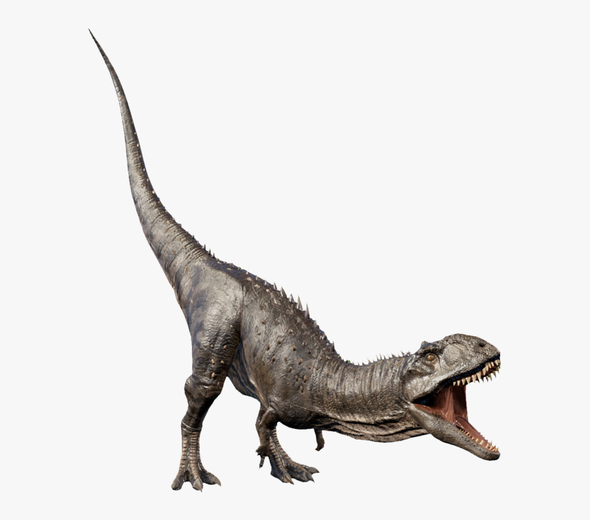 , HD Png Download , Transparent Png Image - PNGitem