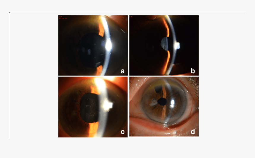 Temple Lamp Png, Transparent Png , Transparent Png Image - PNGitem