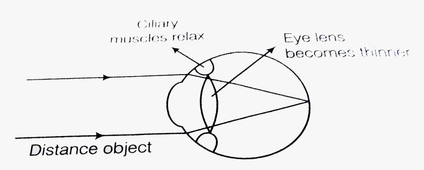 Eye Lense Png, Transparent Png , Transparent Png Image - PNGitem