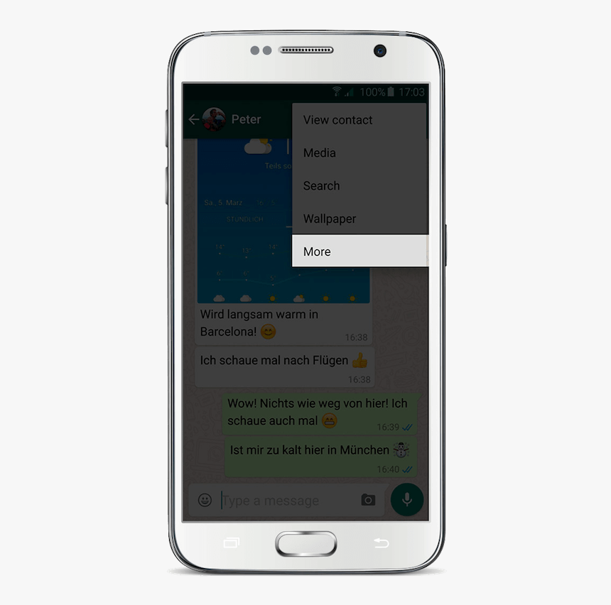 Whatsapp Chat Png, Transparent Png , Transparent Png Image - PNGitem