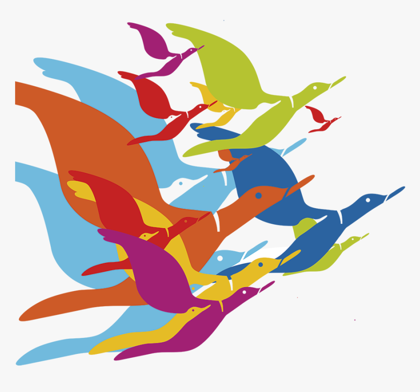 Gaia Education Birds, HD Png Download , Transparent Png Image - PNGitem