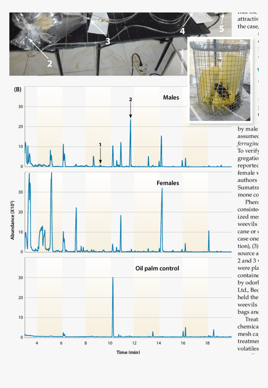 Up House Png, Transparent Png , Transparent Png Image - PNGitem