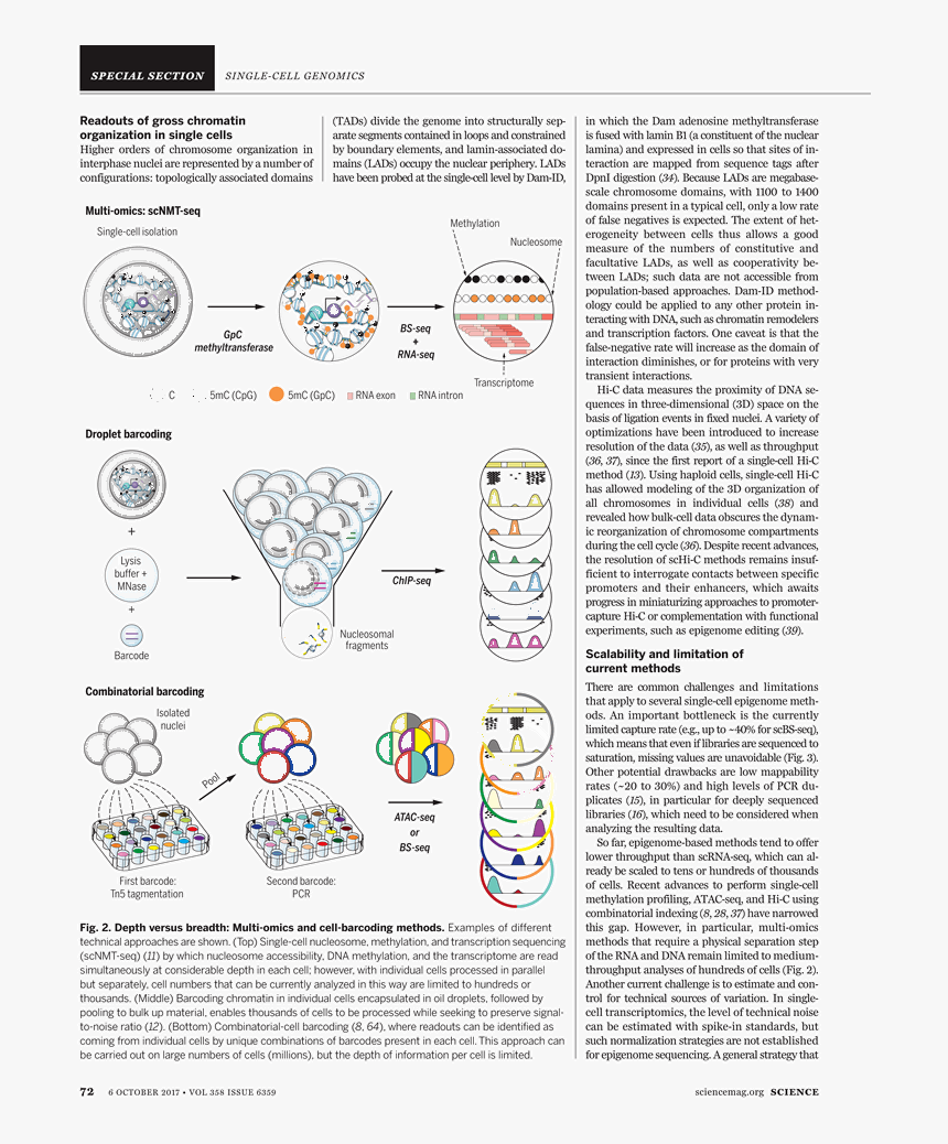 Magazine Barcode Png, Transparent Png , Transparent Png Image - PNGitem