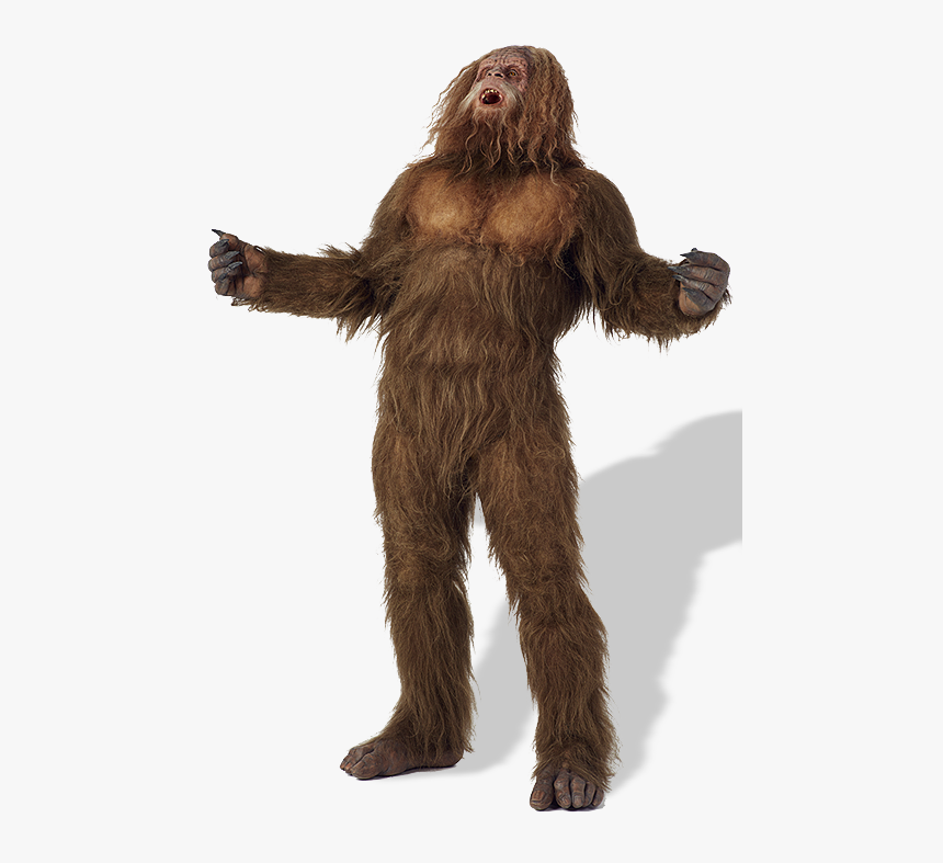 Sasquatch Png, Transparent Png , Transparent Png Image - PNGitem