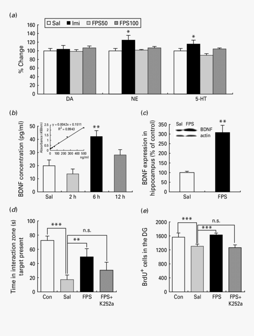 Fps Png, Transparent Png , Transparent Png Image - PNGitem
