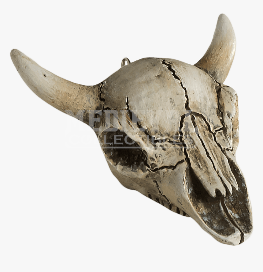 Cow Skull Png, Transparent Png , Transparent Png Image - PNGitem
