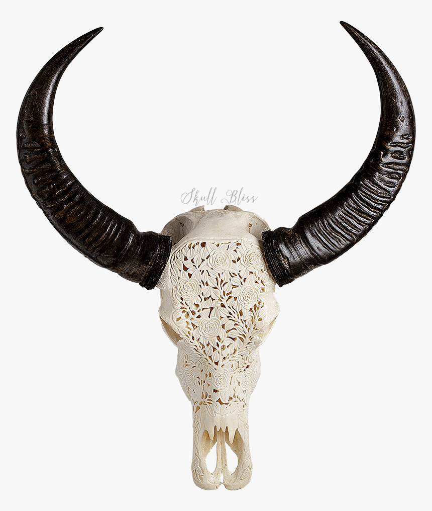 Decorative Skull Head Cow , Png Download, Transparent Png , Transparent ...