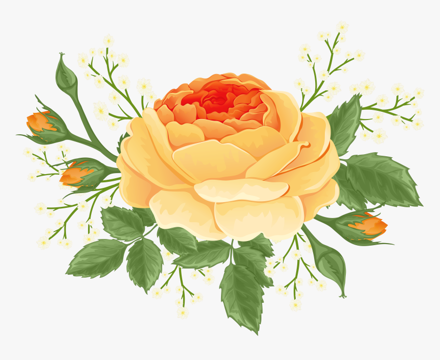 Orange Yellow And White Roses Clipart Vector Transparent, HD Png ...