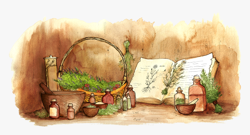 Herbs Cartoon Png , Png Download, Transparent Png , Transparent Png ...