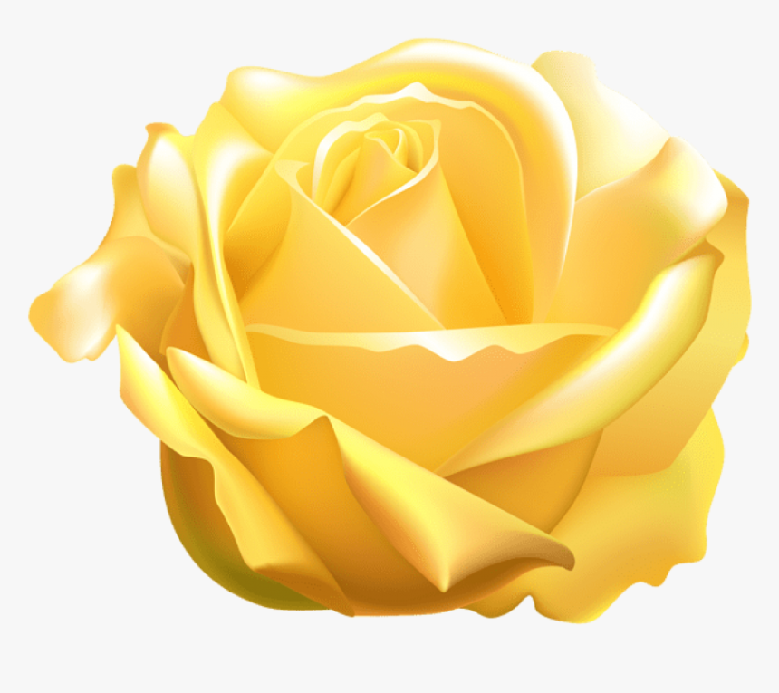 Yellow Background Png, Transparent Png , Transparent Png Image - PNGitem