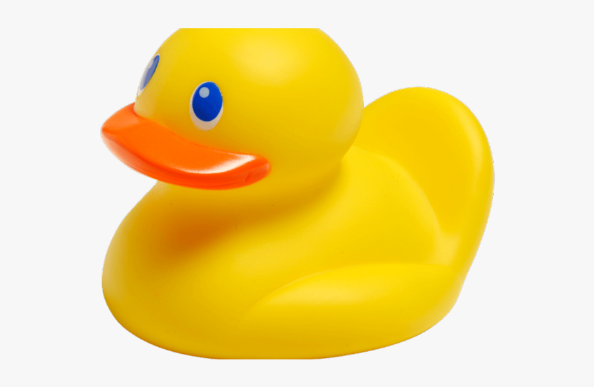 Rubber Duck Png, Transparent Png , Transparent Png Image - PNGitem