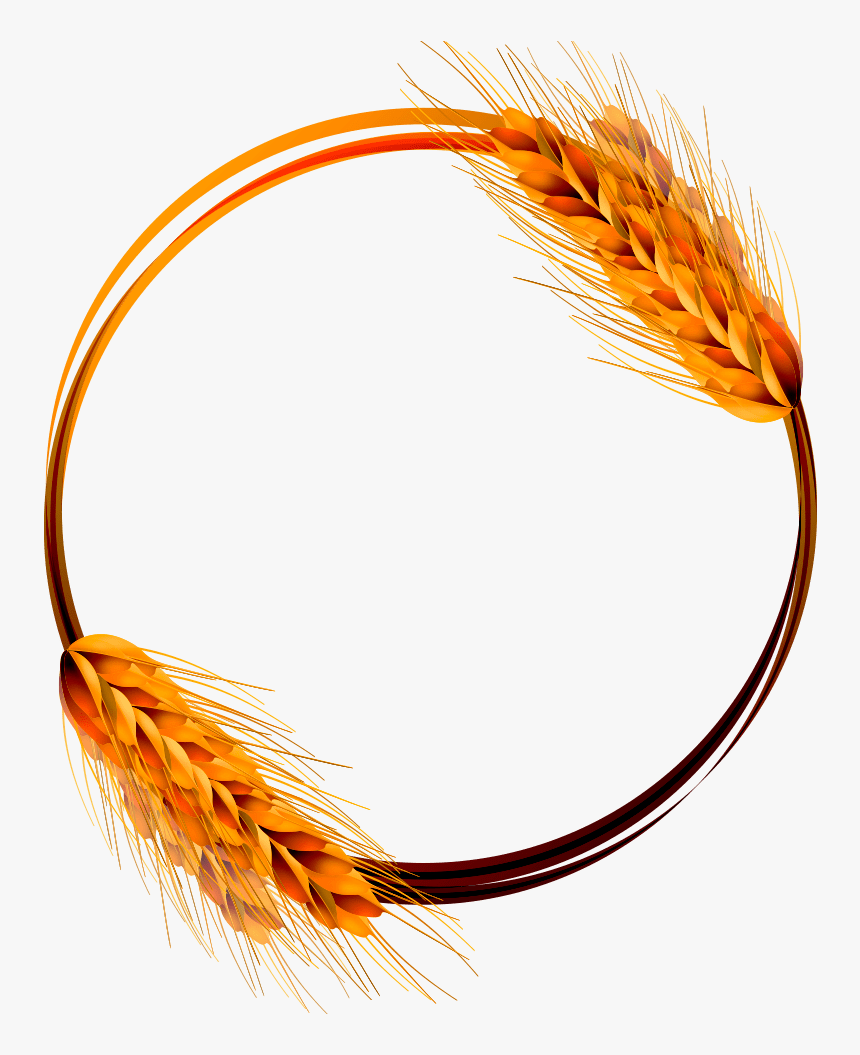 Trigo , Png Download, Transparent Png , Transparent Png Image - PNGitem