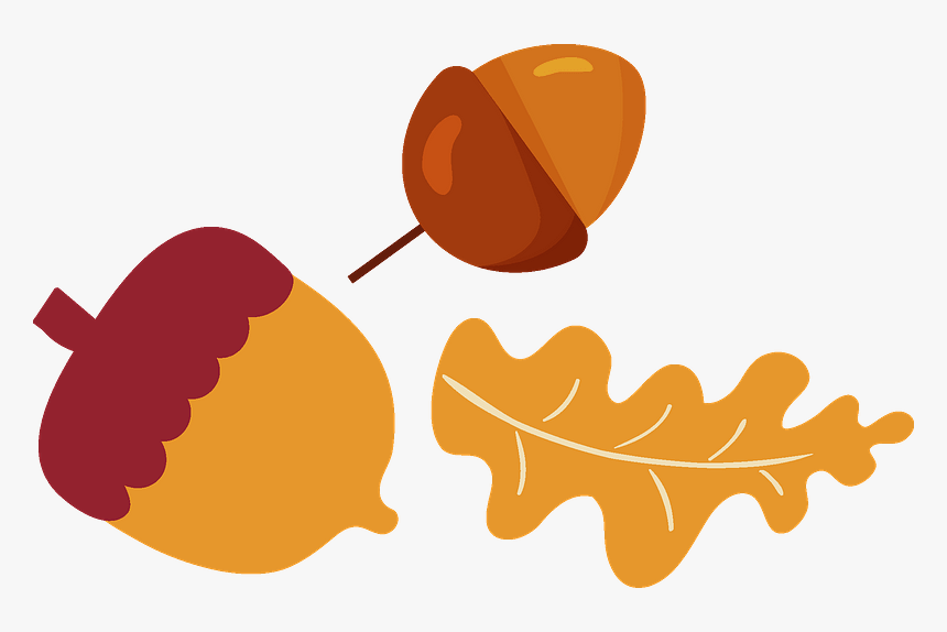 Acorns And Oak Leaf Clipart, HD Png Download , Transparent Png Image ...
