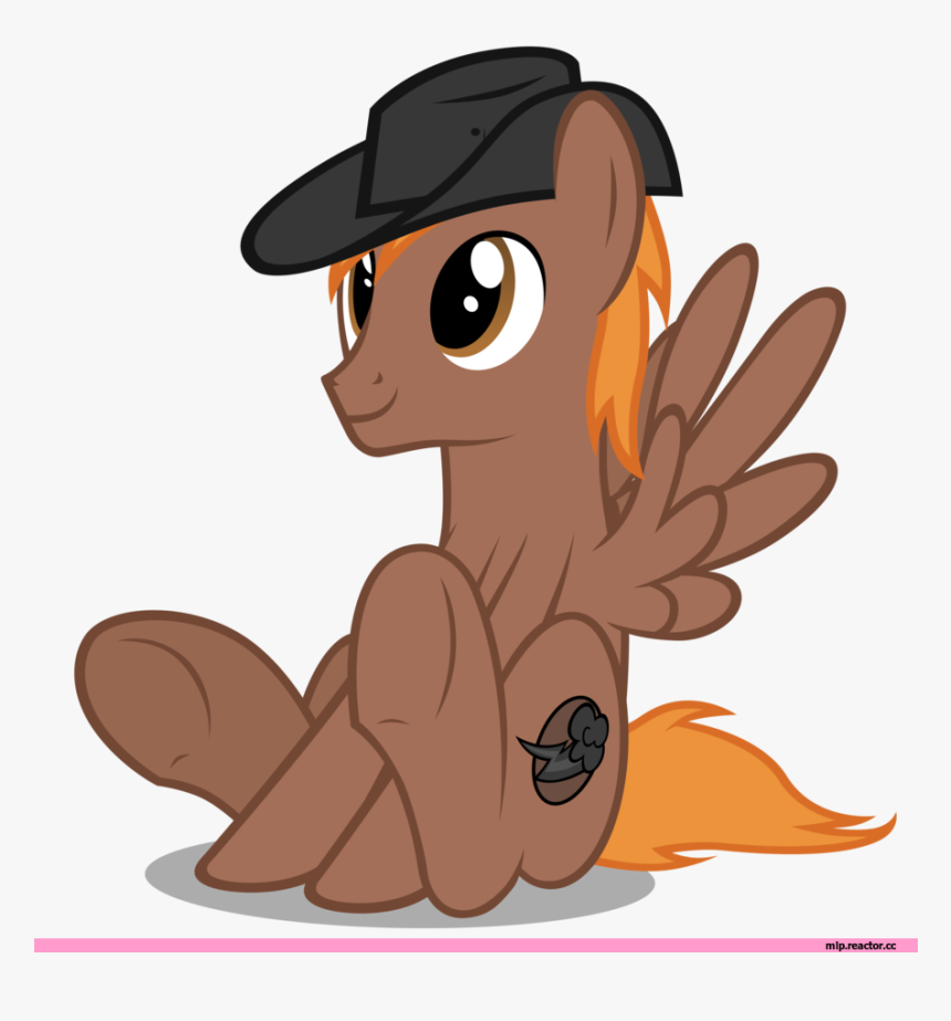 Mlp Png, Transparent Png , Transparent Png Image - PNGitem
