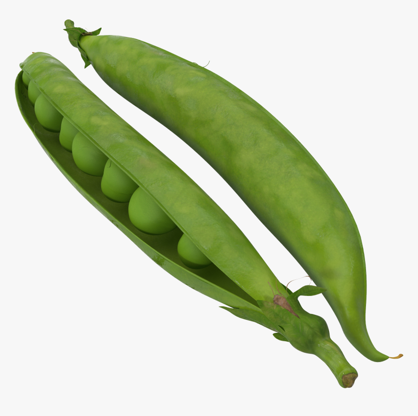Green Bean Transparent Background , Png Download, Png Download ...