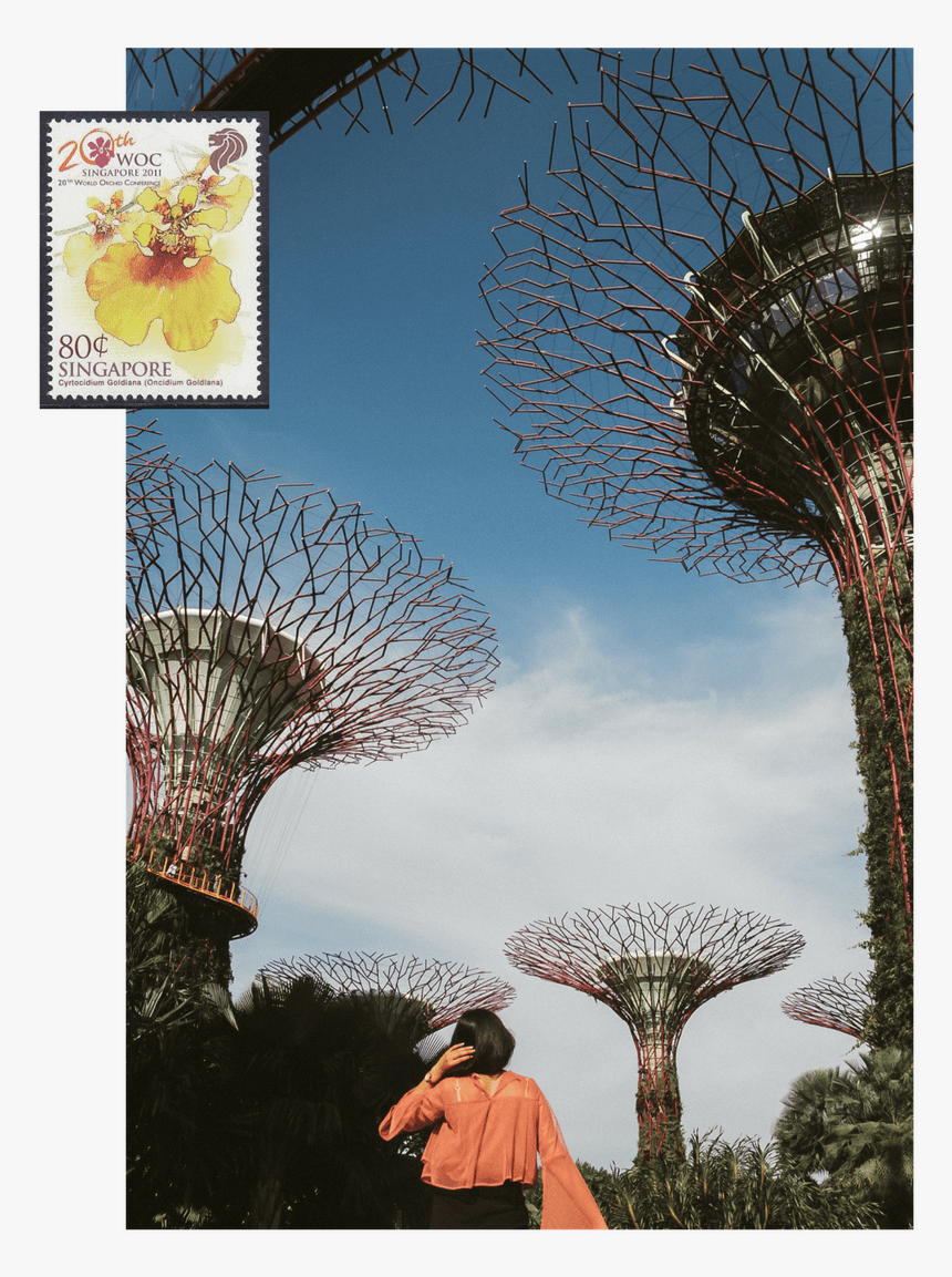 Fishnet Texture Png, Transparent Png , Transparent Png Image - PNGitem