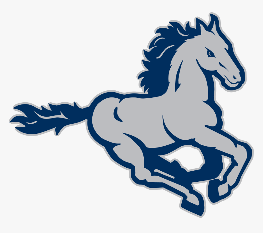 Murchisonmustang Png Stallions Mustangs, Transparent Png , Transparent ...