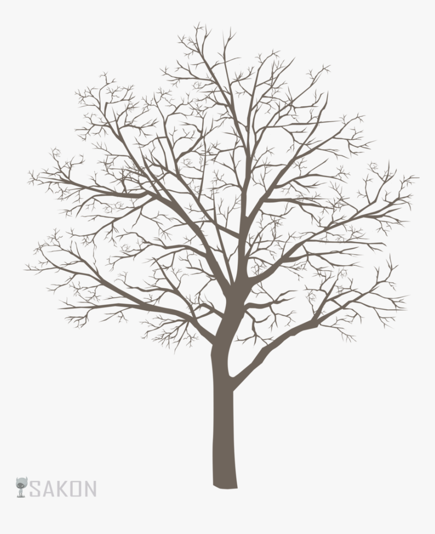 Trees Drawing Png, Transparent Png , Transparent Png Image - PNGitem