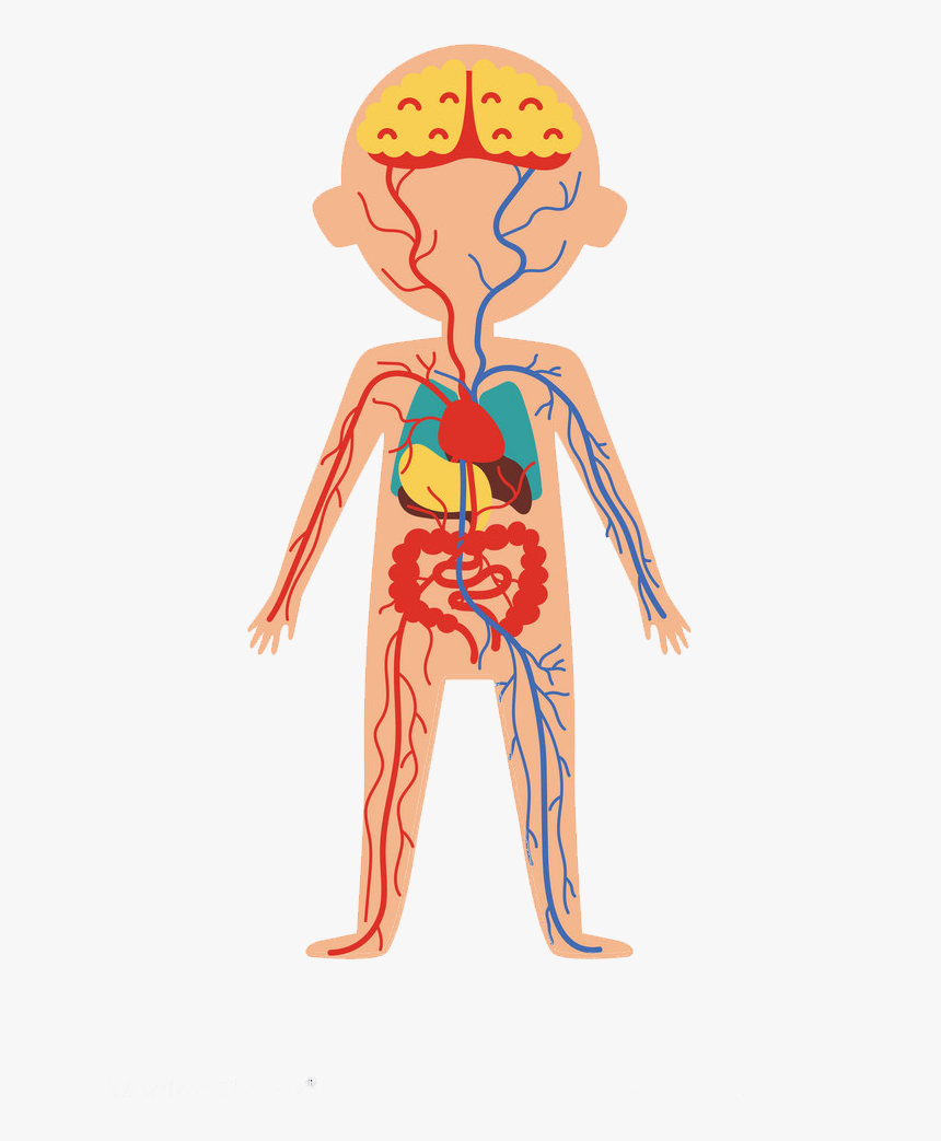 Marijuana Joint Png, Transparent Png , Transparent Png Image - PNGitem