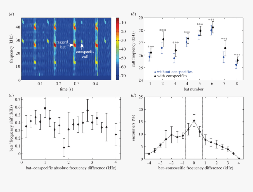 Bat Signal Png, Transparent Png , Transparent Png Image - PNGitem