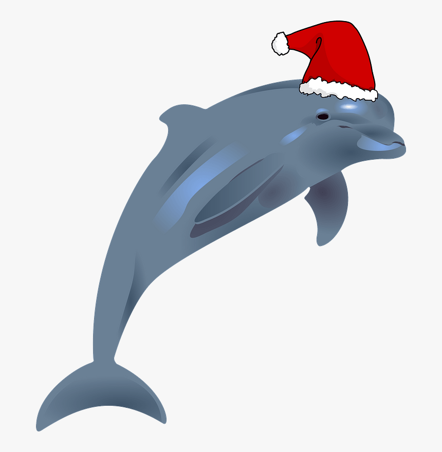 Dolphin With Santa Hat Clipart, HD Png Download , Transparent Png Image ...