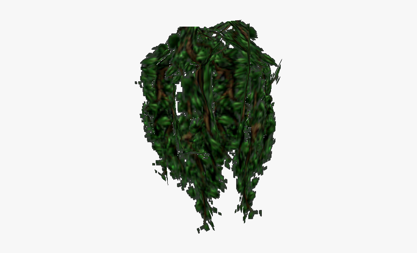 Hanging Moss Png, Transparent Png , Transparent Png Image - PNGitem